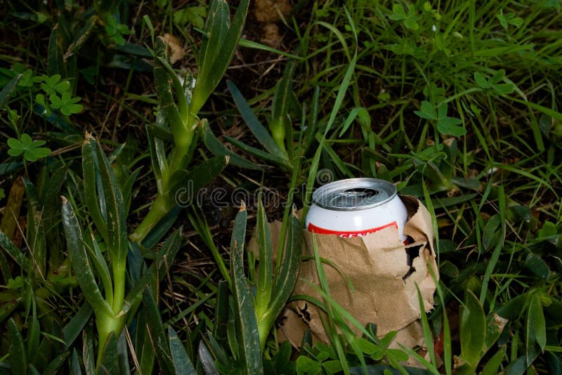 Litter stock image. Image of environment, dark, limb, issue - 574217