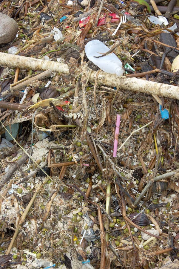 Litter beach stock image. Image of nature, beach, disposal - 27364417