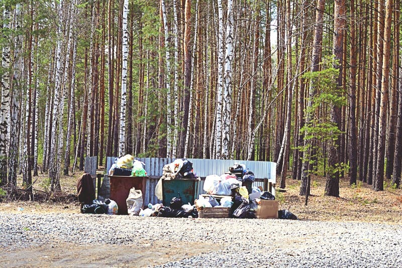 Litter Box Full of Garbage in Forest. Concept of Ecology Problem Stock ...
