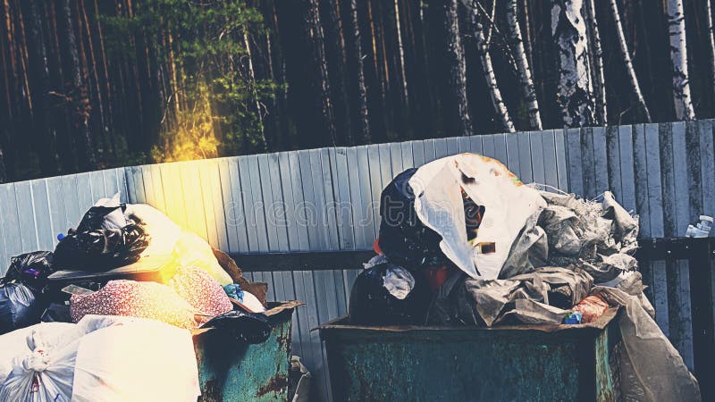 Litter Box Full of Garbage in Forest. Concept of Ecology Problem Stock ...