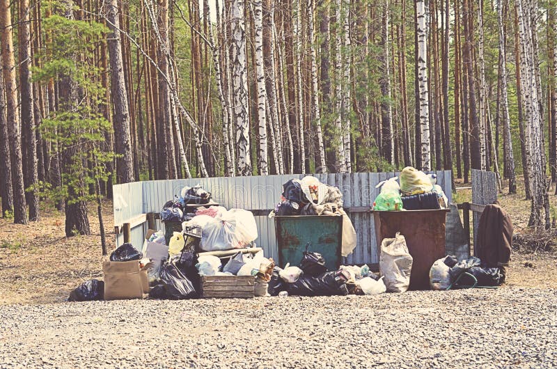 Litter Box Full of Garbage in Forest. Concept of Ecology Problem Stock ...