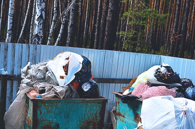 Litter Box Full of Garbage in Forest. Concept of Ecology Problem Stock ...