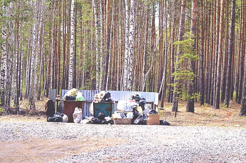 Litter Box Full of Garbage in Forest. Concept of Ecology Problem Stock ...