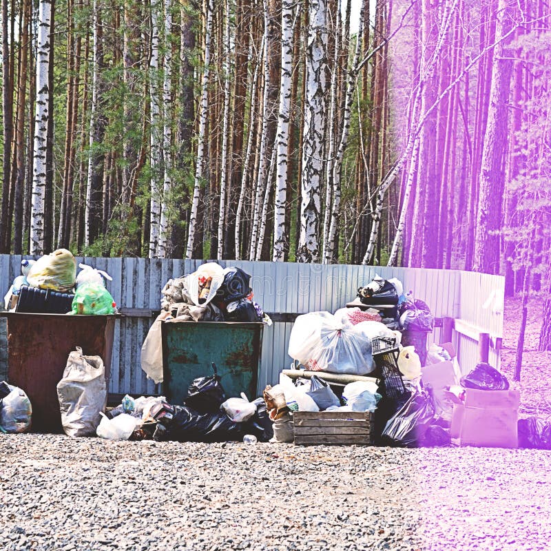 Litter Box Full of Garbage in Forest. Concept of Ecology Problem Stock ...