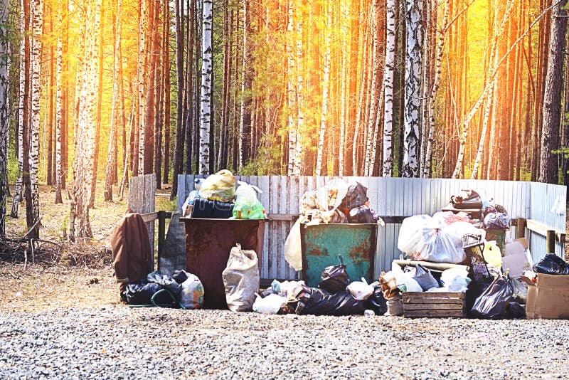 Litter Box Full of Garbage in Forest. Concept of Ecology Problem Stock ...