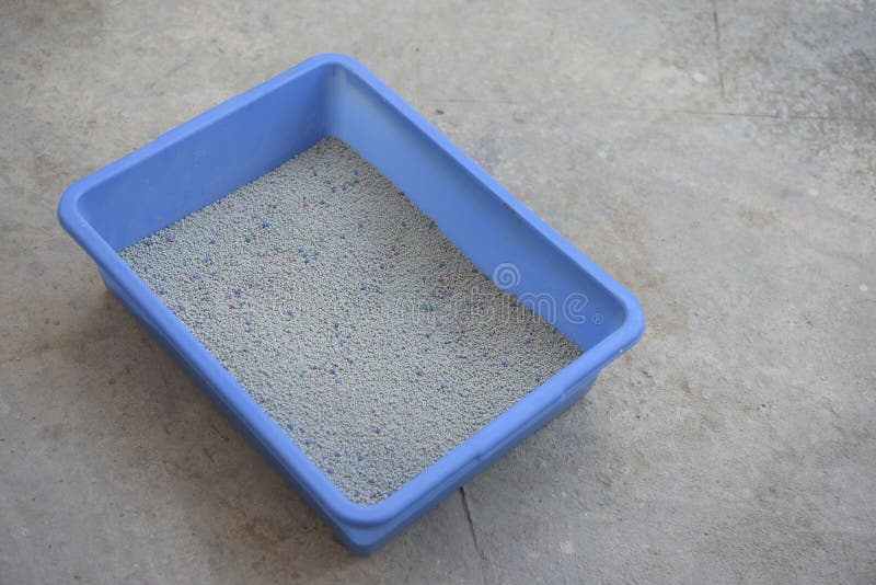 Litter Cat Litter Box blue stock photo. Image of container - 211326120