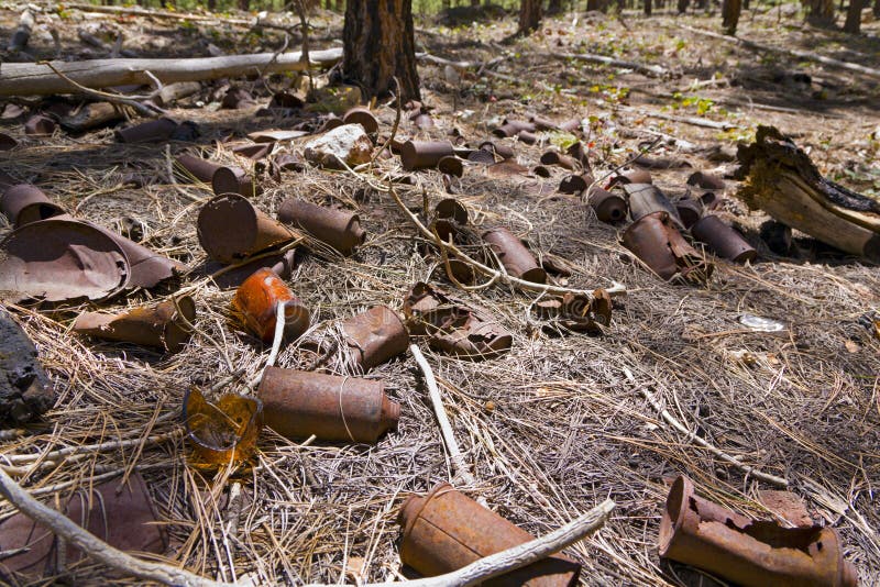 Litter in the Forest stock image. Image of waste, pollution - 18346529