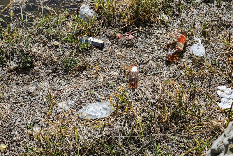 Litter in the Nature. Plastic Bottles and Packets. Pollution of the ...