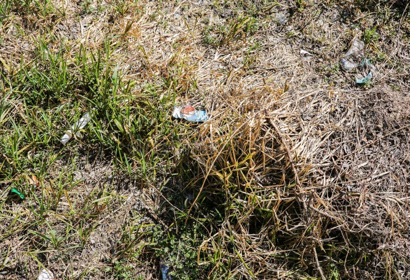 Litter in the Nature. Plastic Bottles and Packets. Pollution of the ...