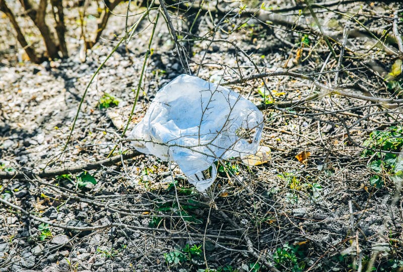 Litter in the Nature. Plastic Packets. Pollution of the Environment ...