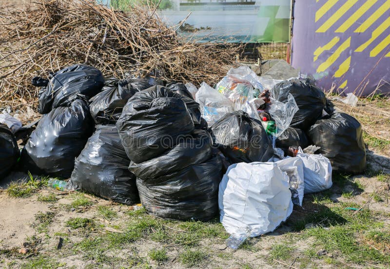 Litter Plastic in the Nature. Pollution of the Environment. Ecological ...