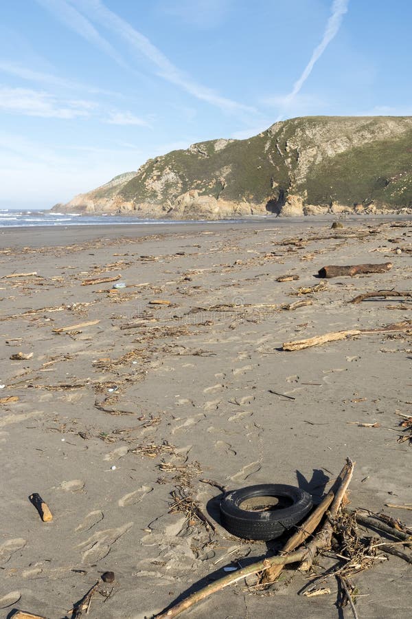 Litter and Plastics Washed Up on the Beach and Remnant of Floods in ...