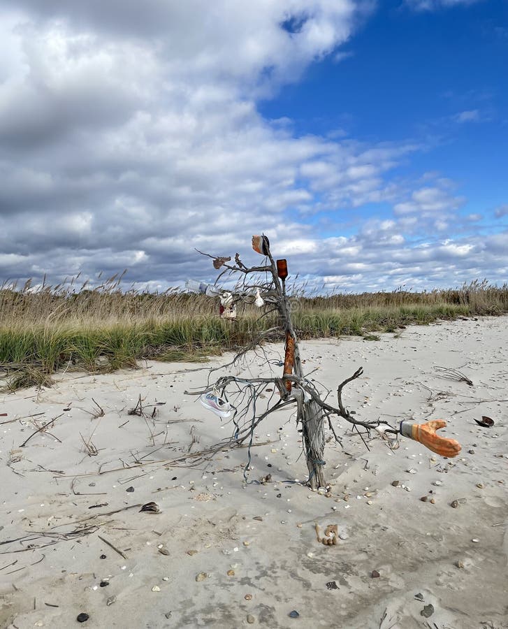 Litter on Tree Branches stock image. Image of bottle - 236693163