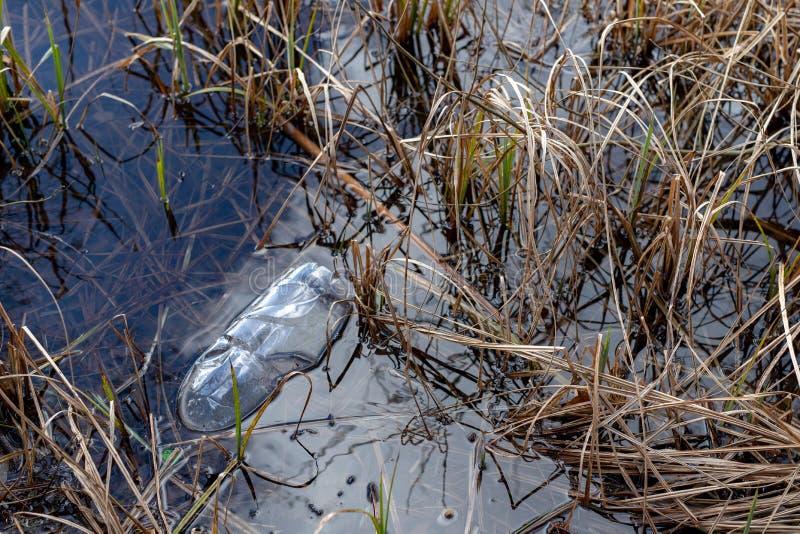 Littered by the Edge of the Lake by Plastic Bottles. Polluted ...