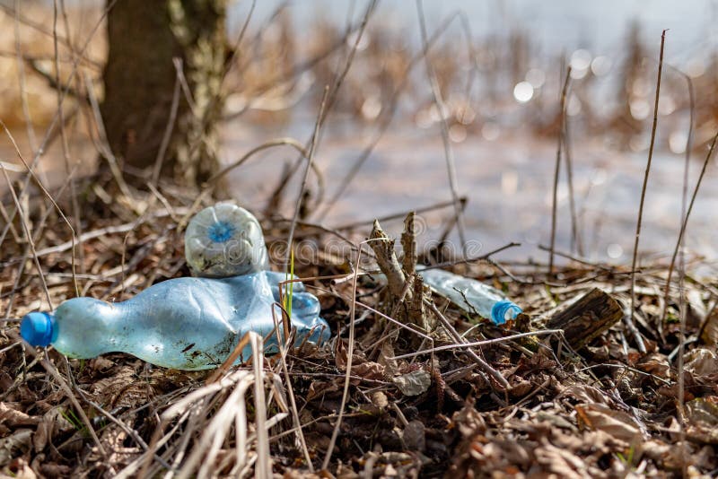 Littered by the Edge of the Lake by Plastic Bottles. Polluted ...