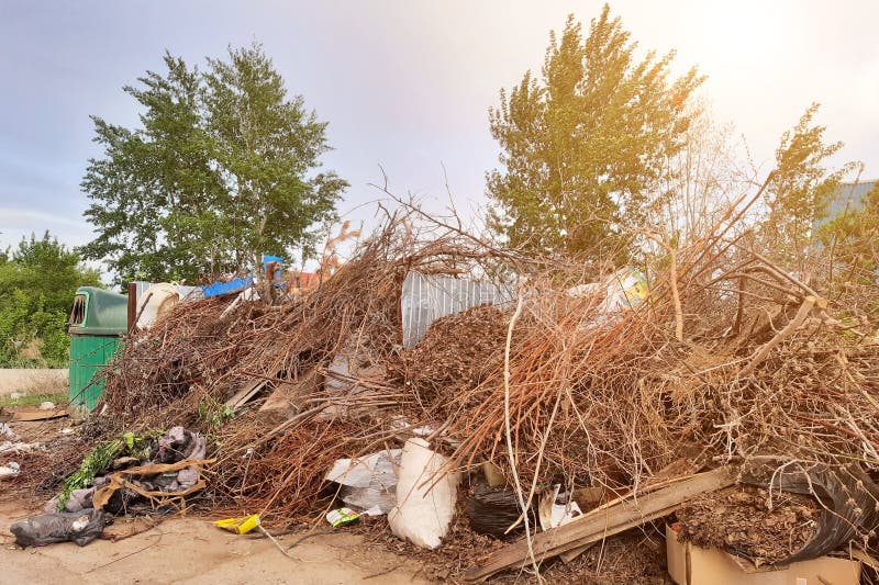 The Littered Place of Collection of Household Garbage Stock Photo ...