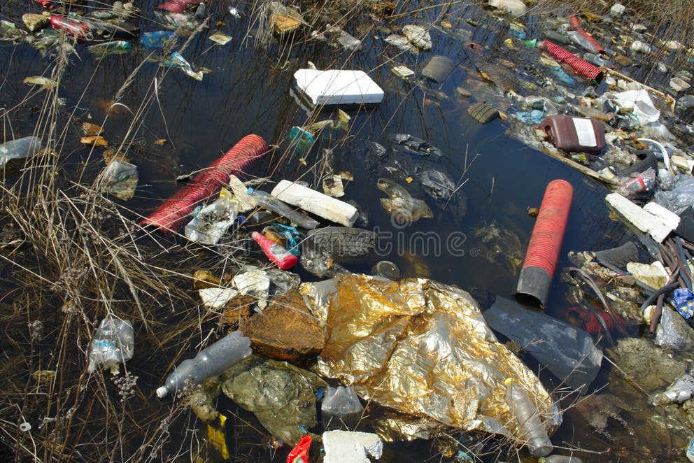 Littered river stock photo. Image of clutter, junk, green - 9062950