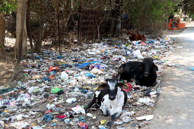 Image of Garbage Throw on Side of Road in India Editorial Image - Image ...
