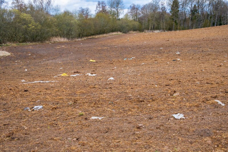 Littering of Plastic in a Field Stock Image - Image of littering ...