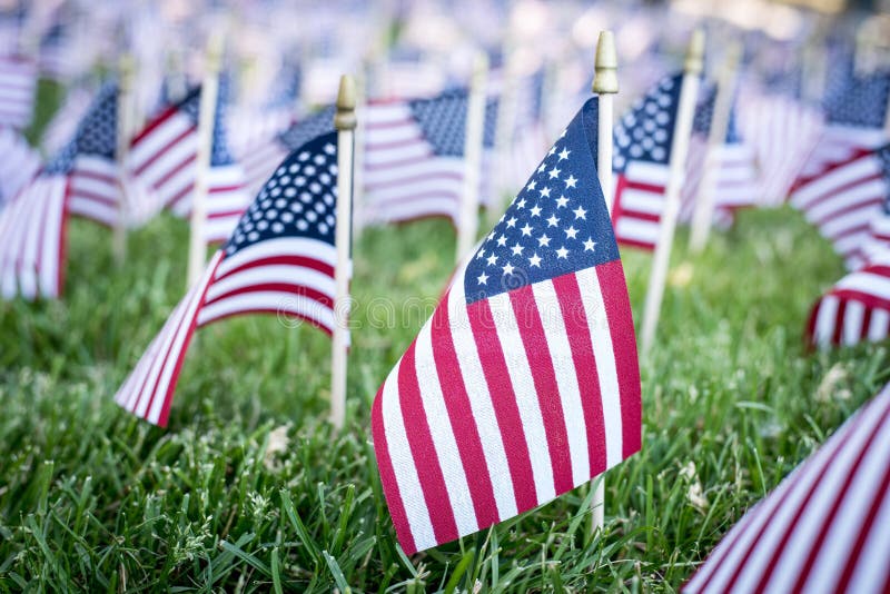 Little American Flags stock image. Image of grass, support - 72672155