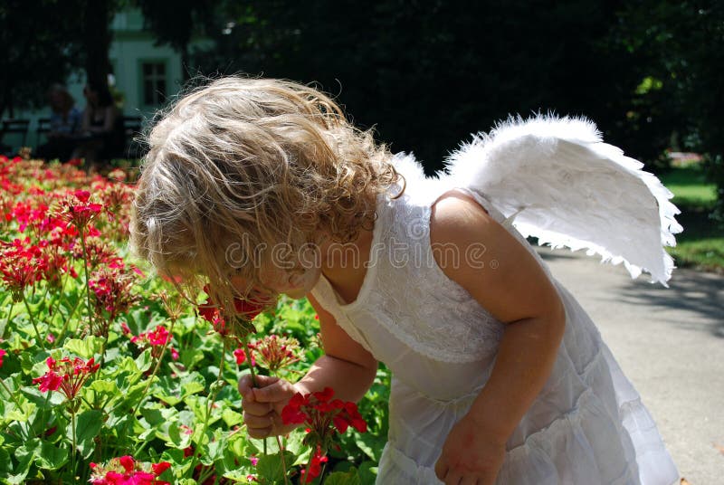 Little angel stock photo. Image of hair, feather, angel - 10586058