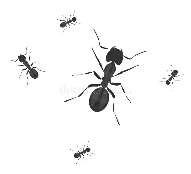 Little ants, icon stock vector. Illustration of closeup - 261374244