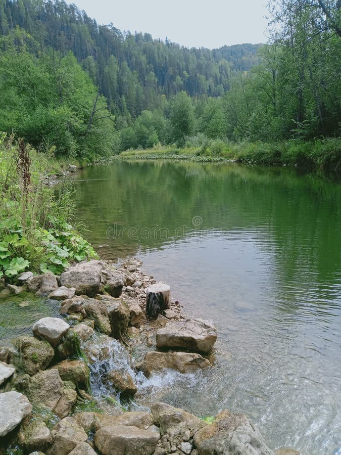 Little Asha river stock image. Image of wilderness, evening - 227799867