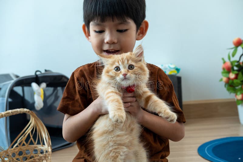 A Little Asian Boy Lovingly Holds an Orange Kitten Stock Image - Image ...