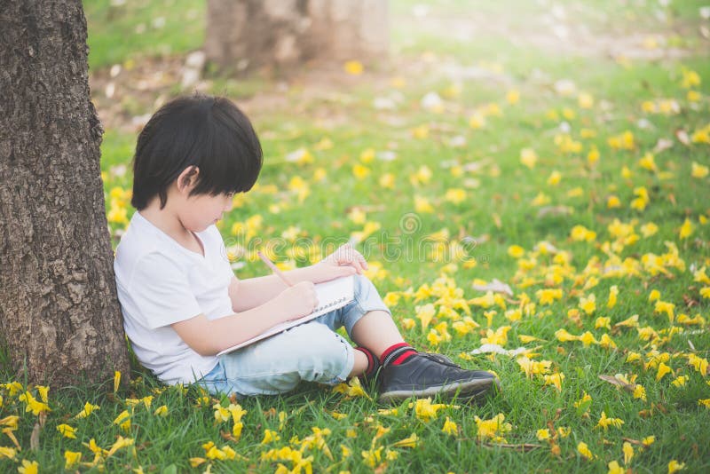 Little Asian Boy Sitting Under the Tree and Drawing in Notebook Stock ...