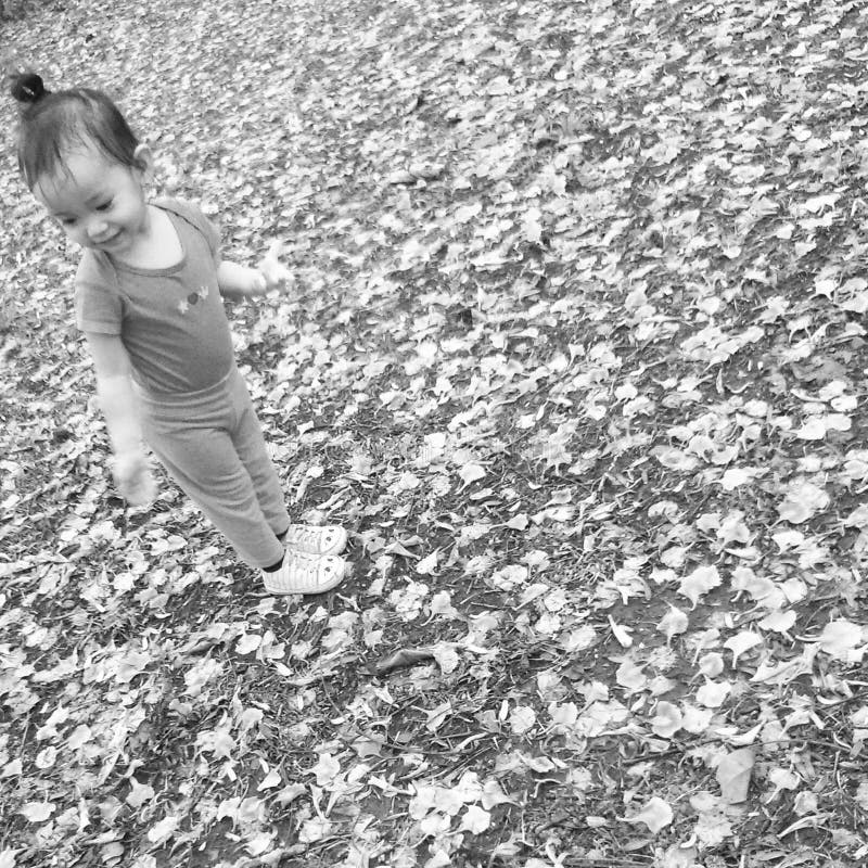 Little Asian girl editorial stock photo. Image of girl - 55873183