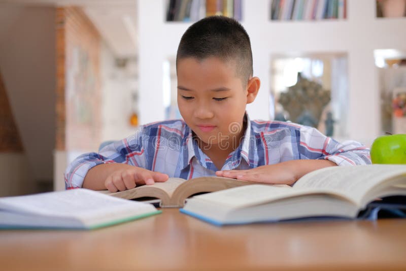 Little Asian Kid Boy Child Children Studying Reading Book Stock Photo ... Little Asian Kid Boy Child Children Studying Reading Book Stock Photo ...