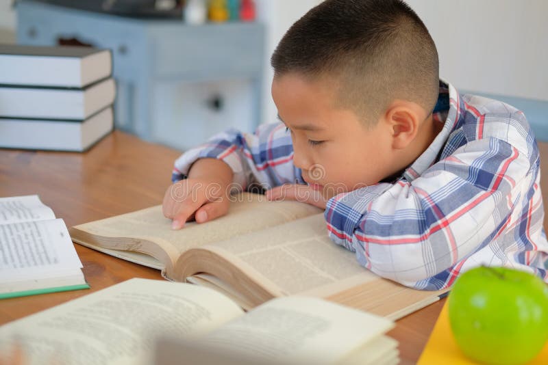 Little Asian Kid Boy Child Children Studying Reading Book Stock Photo ... Little Asian Kid Boy Child Children Studying Reading Book Stock Photo ...