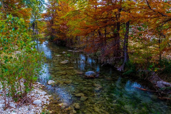 A Little Babbling Brook with Stunning Fall Cypress Trees Stock Image ...
