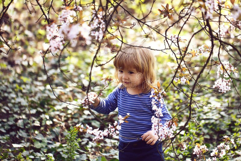 Little Baby Boy in the Blossom Garden. Spring. Stock Image - Image of ...