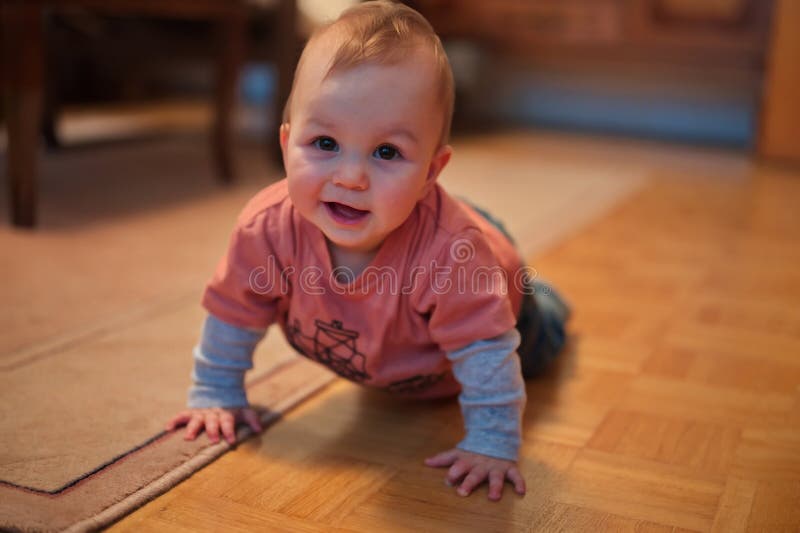 Baby boy crawling at home stock photo. Image of life - 259069308
