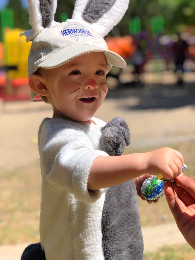 Baby boy bunny stock photo. Image of bunny, egghunter - 120268666