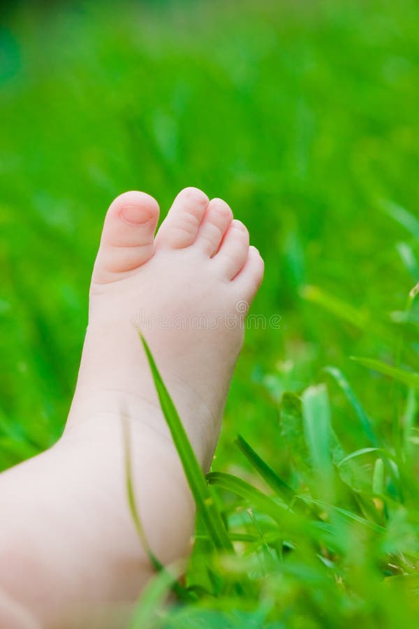 Little baby feet stock image. Image of child, little, spring - 9777585