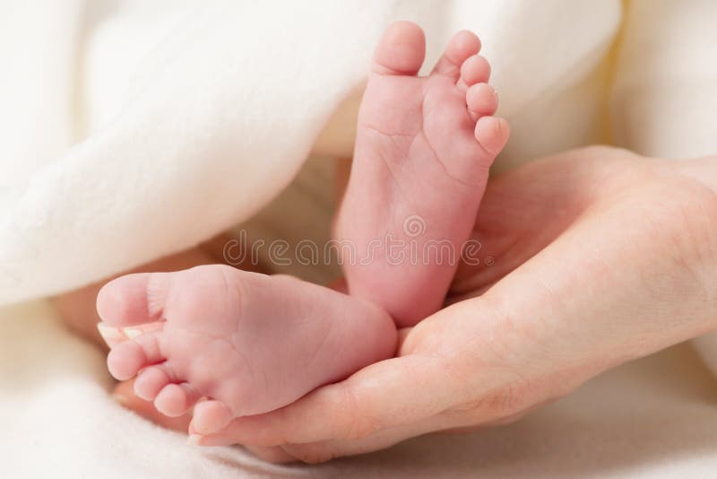 Little Baby Feet in Mamas Hands Stock Photo - Image of life, person ...