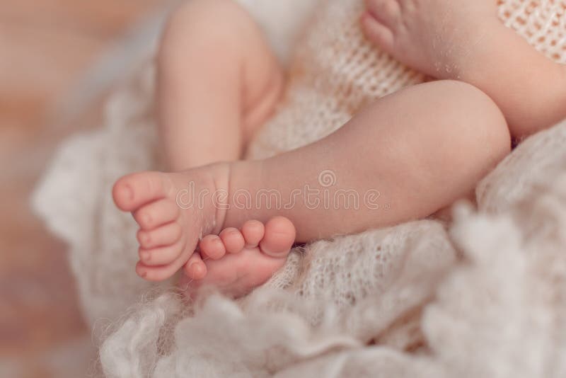 Little baby legs stock photo. Image of foot, hand, child - 95503704