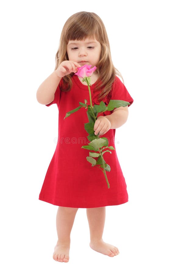 Little Baby Touching Pink Rose Stock Photo - Image of rose, adorable ...