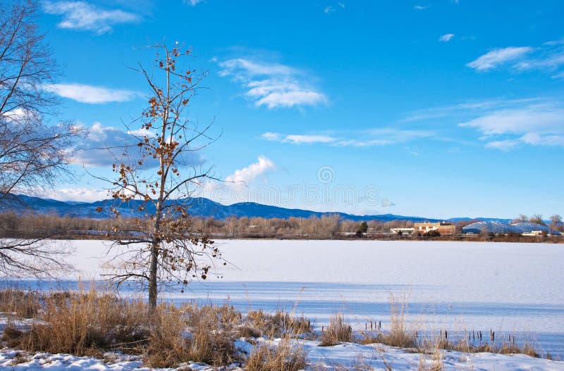 Little Prairie Farm in Winter Stock Image - Image of pasture, little ...