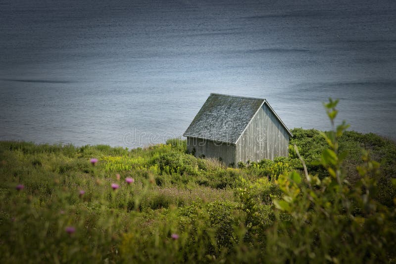 Little barn in a field stock image. Image of pasture - 83975225