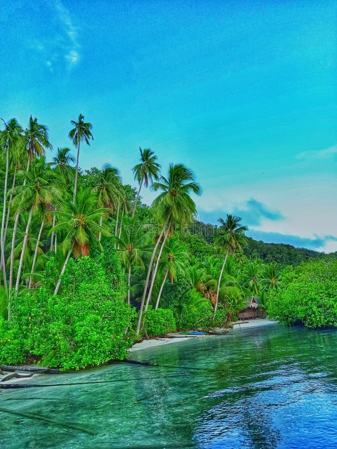The Little bay stock photo. Image of vegetation, nature - 200199530