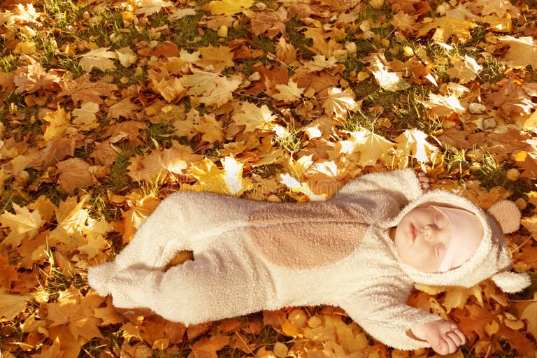 137 Sleeping Bear Fairy Garden Stock Photos - Free & Royalty-Free Stock ...