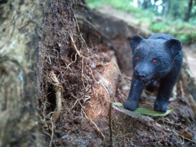 Little bear under the tree stock photo. Image of treeit - 253621416