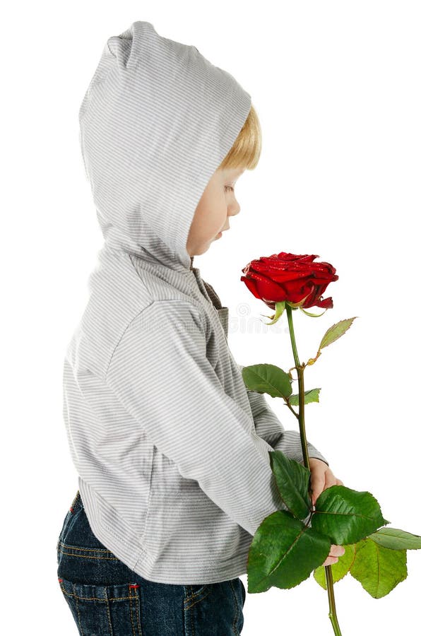 Little Beautiful Boy with Rose Isolated Stock Photo - Image of person ...