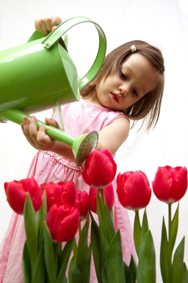 Little beauty stock image. Image of adorable, isolated - 13379425