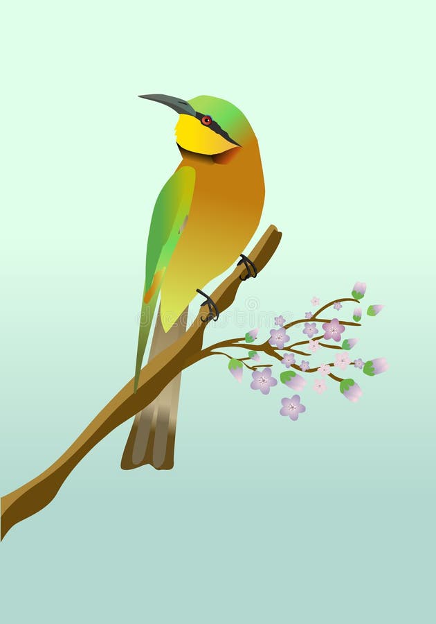 Little Bee-eater Digital Vector Illustration Stock Illustration ...