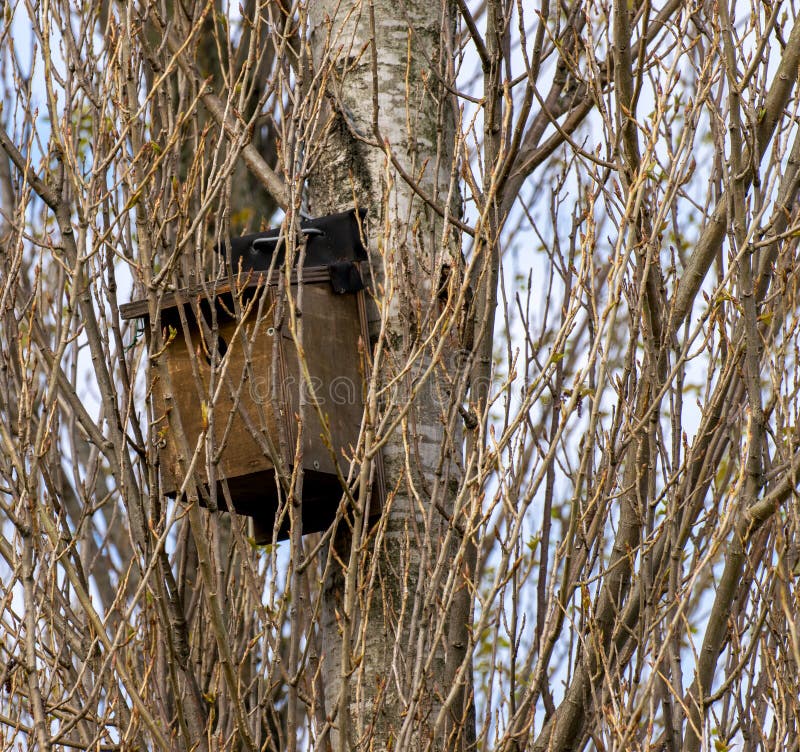 Little bird nest house stock image. Image of green, birdhouse - 52783083