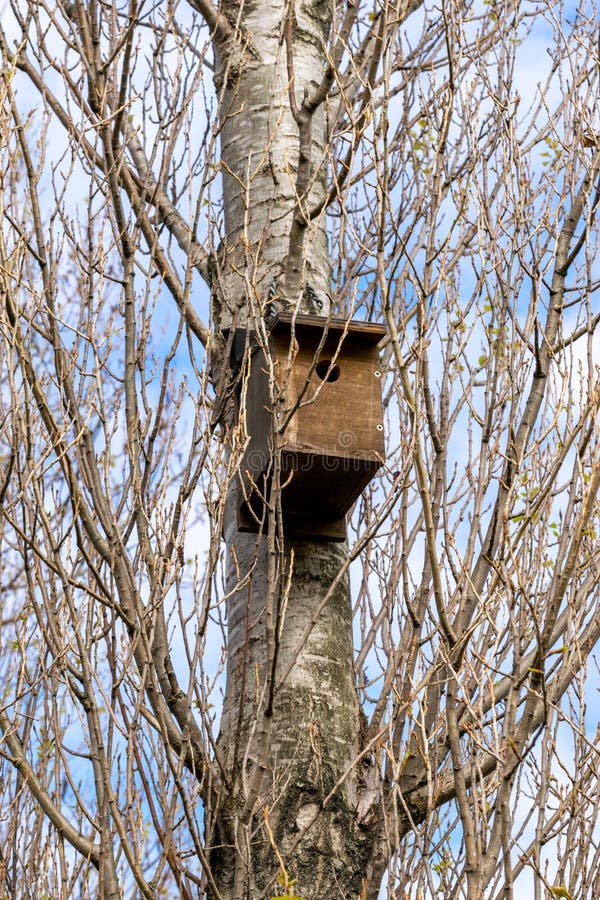 Little bird nest house stock photo. Image of nest, birdhouse - 52783216